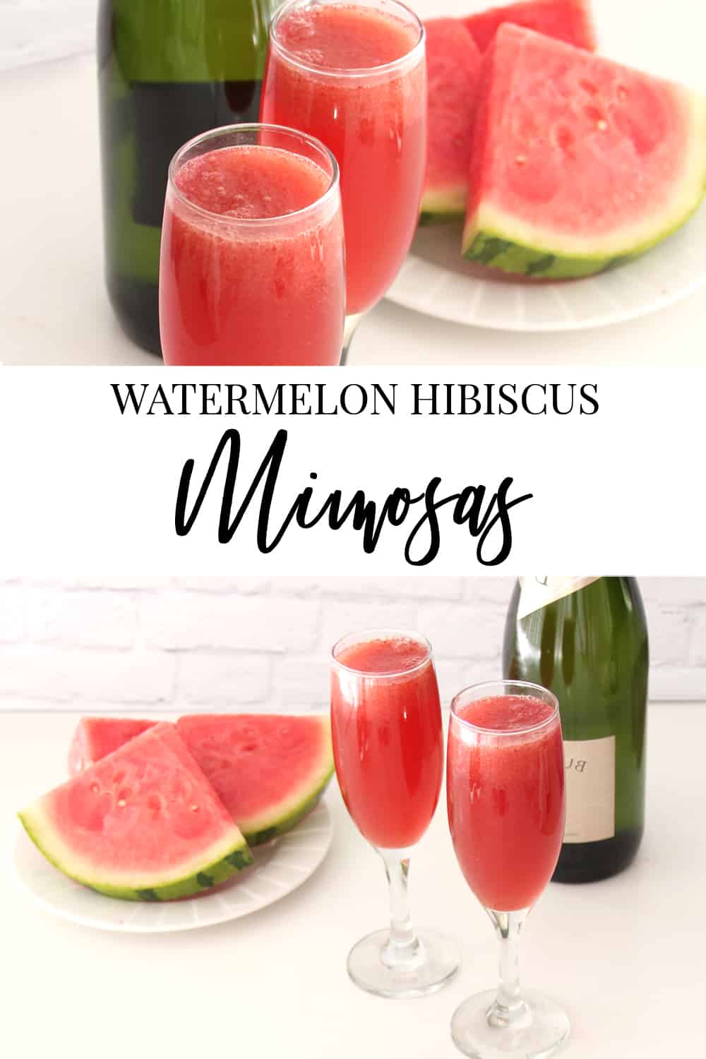 Watermelon Hibiscus Mimosa - Regain Your Sparkle