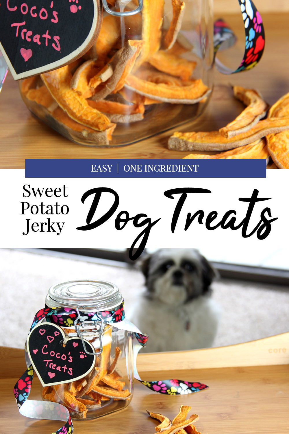 Easy Sweet Potato Dog Treats - Regain Your Sparkle